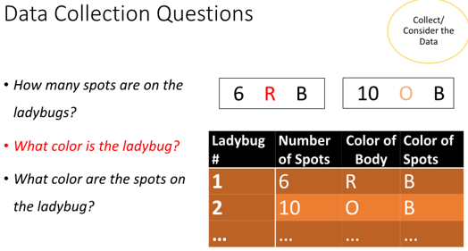 #58 Lizards and ladybugs: illustrating the role of questioning | Ask ...